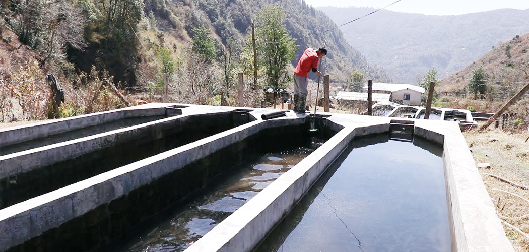 माछापालनका लागि चार करोड अनुदान - Pratidin Daily